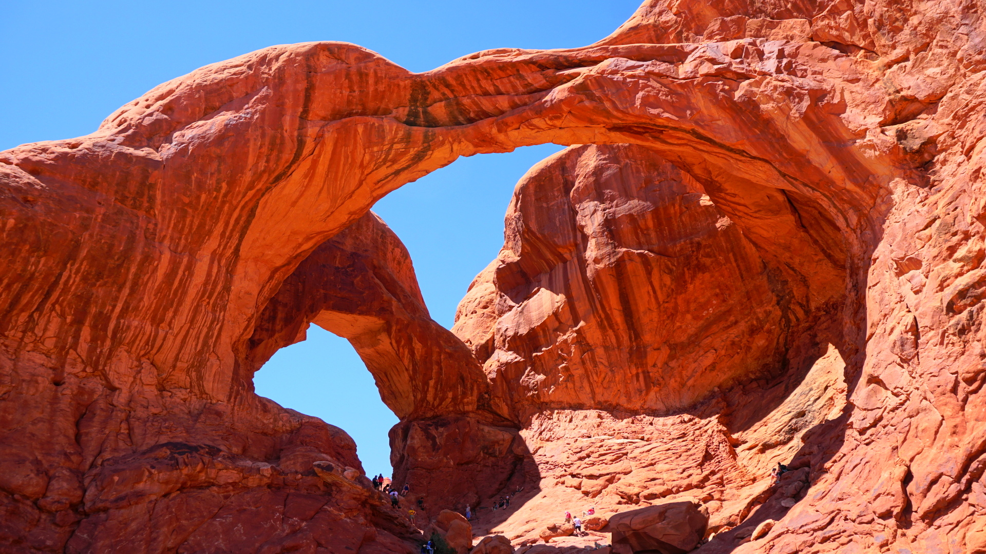 Arches Windows Section - Double Arch - Share the road with Ark & Galina